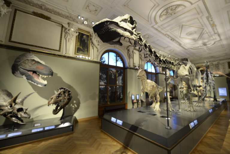 Klimatski aktivisti se zalepili za skelet dinosaurusa - Vesti online